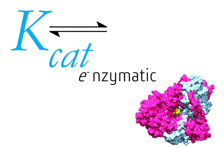 Greenaminase® | Kcat Enzymatic Private Limited | CPHI Online