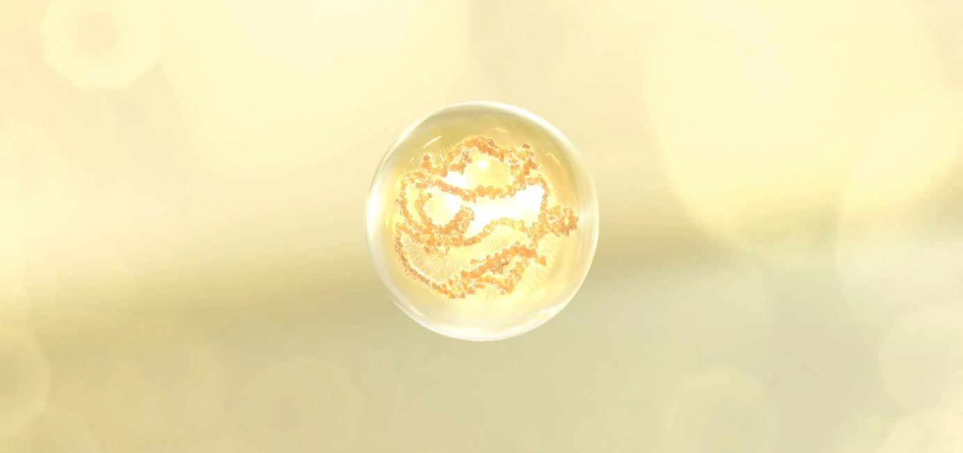 Acquisition of the Modern Meadow’s human recombinant collagen... | CPHI Online