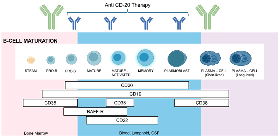 Bioanalytical assay strategies and considerations for... | CPHI Online