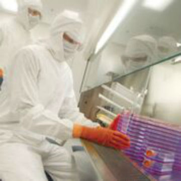 Brammer Bio expands "much needed" cell and gene therapy... | CPHI Online