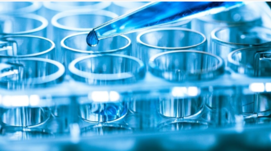 Evive Biotech Meets Primary and Secondary Endpoints in... | CPHI Online