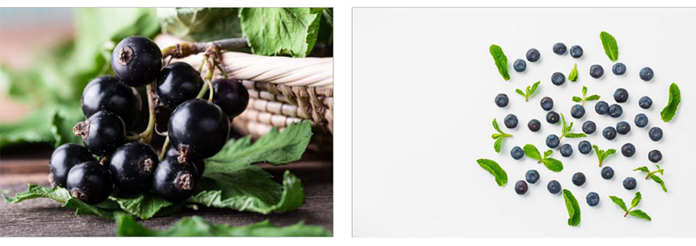 Eyesight Health Ingredients Market Trends | CPHI Online