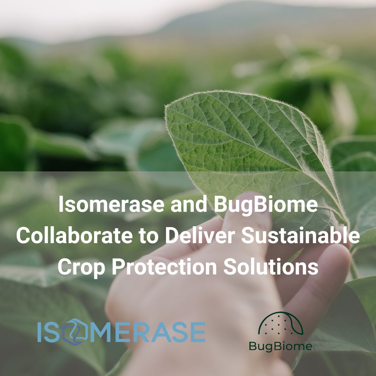 Isomerase Partners with BugBiome for Sustainable Crop... | CPHI Online