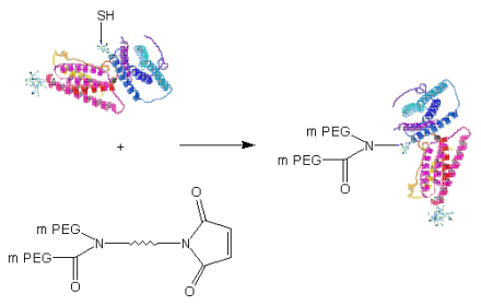 PEGylation technology from ALL Chemistry | CPHI Online