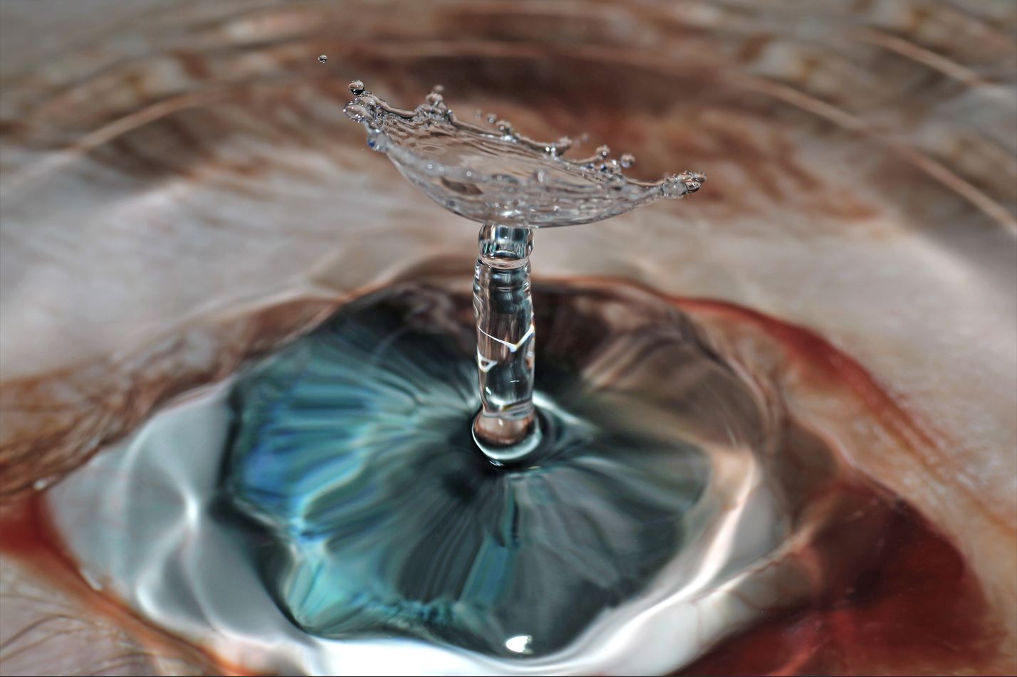 The demand for metered dose eye drops - a dose delivery... | CPHI Online