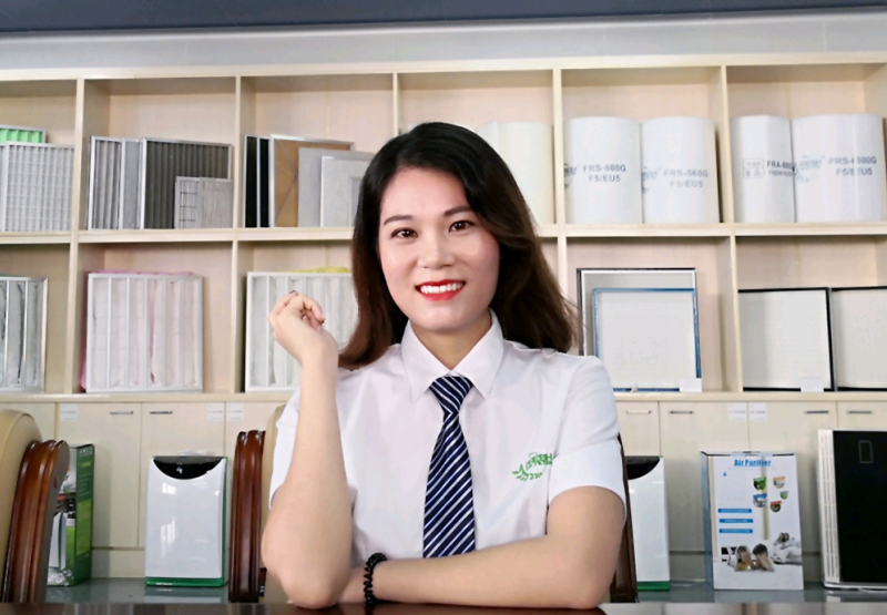 Galvanized Steel AC Fan Filter Unit (FFU) with H13 HEPA | Fresh Filter ...