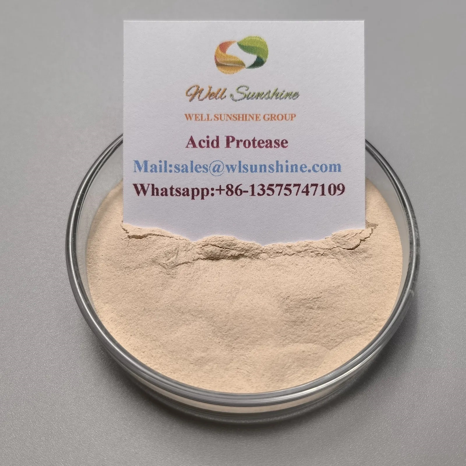 Acidic protease | HANGZHOU WELL SUNSHINE BIOTECH CO., LTD | CPHI Online