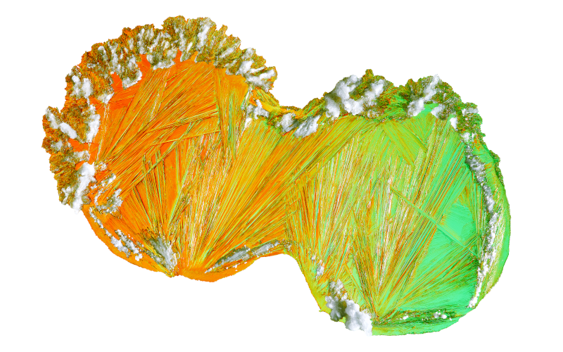 Active Pharmaceutical Ingredient (API) Primary Reference Standards | CPHI Online