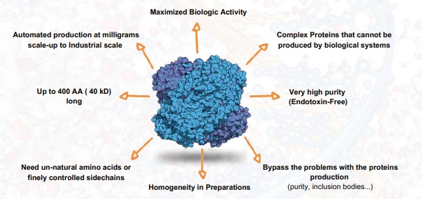 Biologics Chemical Synthesis : Proteins, Peptides and Antibodies | CPHI ...