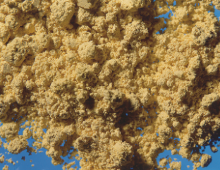BISMUTH SUBGALLATE | OCB Pharmaceutical | CPHI Online