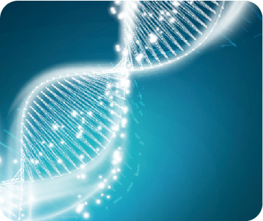 Bloomcolla™ Recombinant Human Collagen III ("COL3-MD") (Medical Device ...