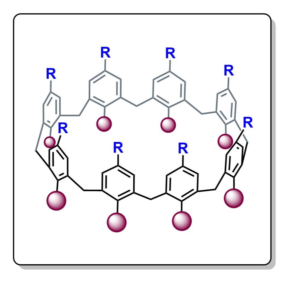 Calixarenes | Novecal | CPHI Online