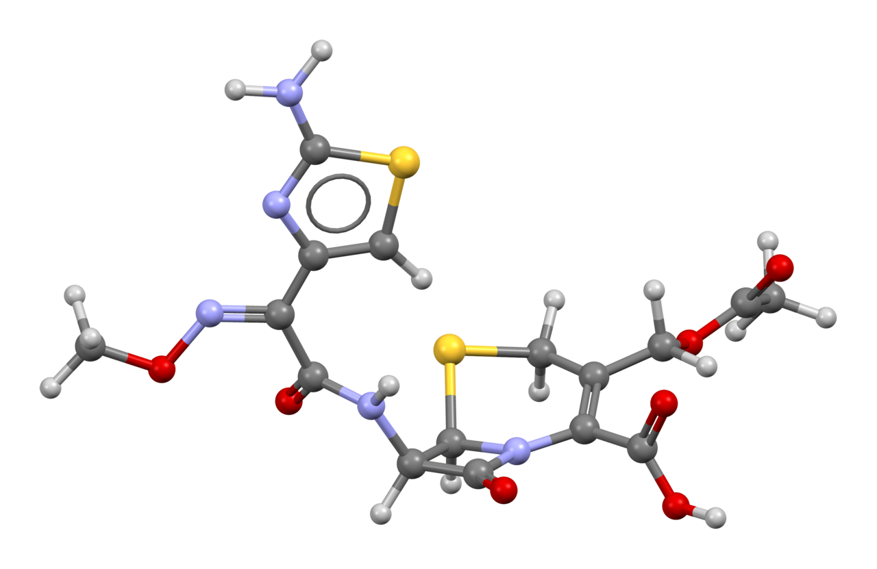 Cefotaxime Sodium Sterile USP | Orion Enterprises | CPHI Online