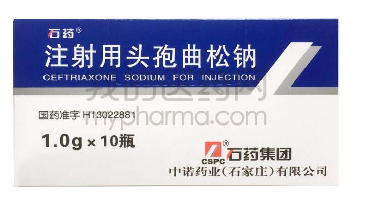 Cephalosporin power for injection | CPHI Online