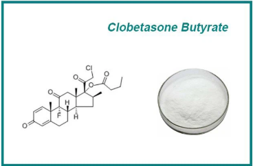 Clobetasone Butyrate Powder | Xi an Gaoyuan Bio-Chem Co.,Ltd. | CPHI Online