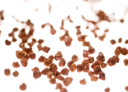 About Indena S.p.A. | CPHI Online