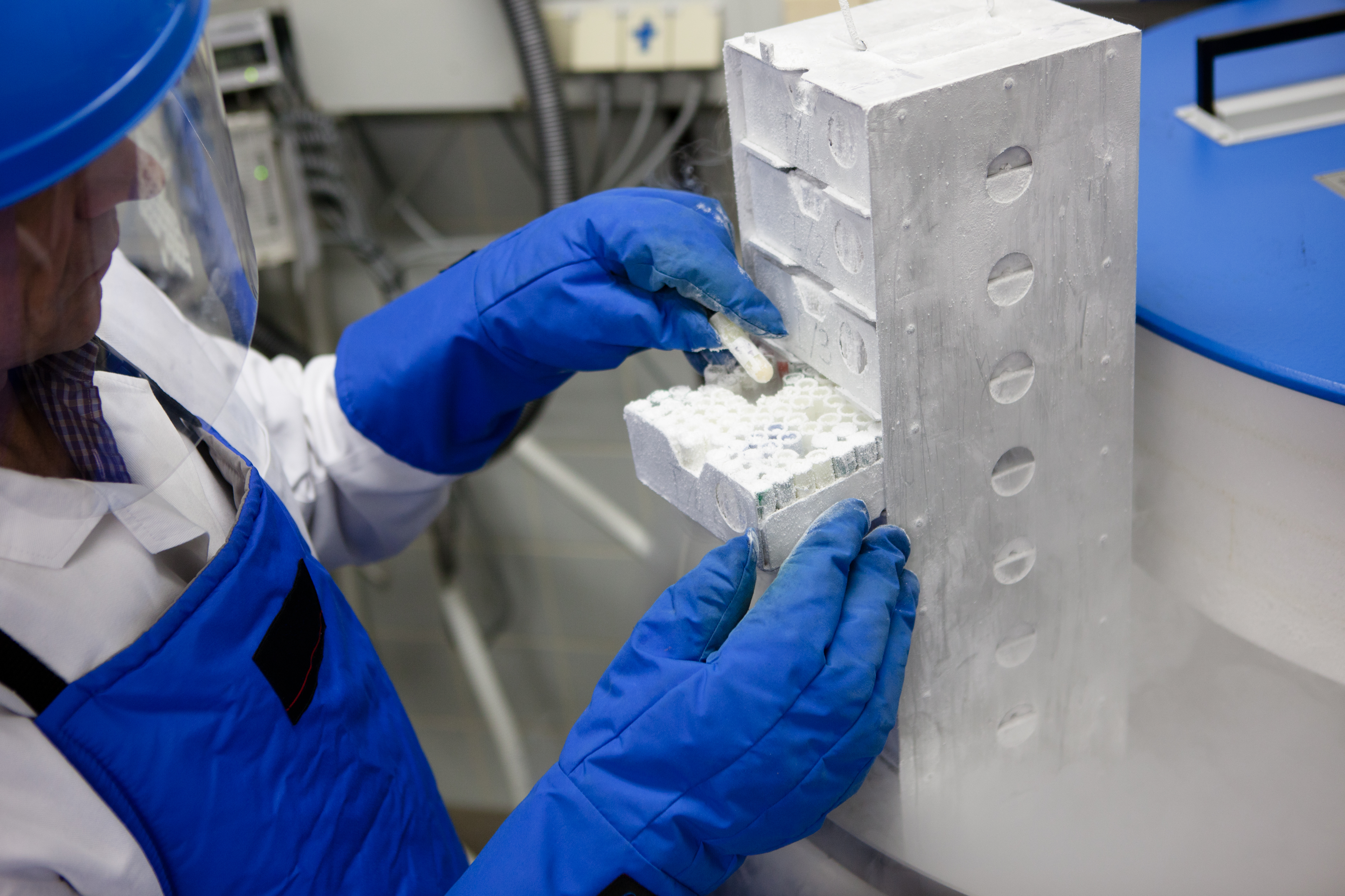 Cold and Cryogenic Labeling | UPM Raflatac | CPHI Online