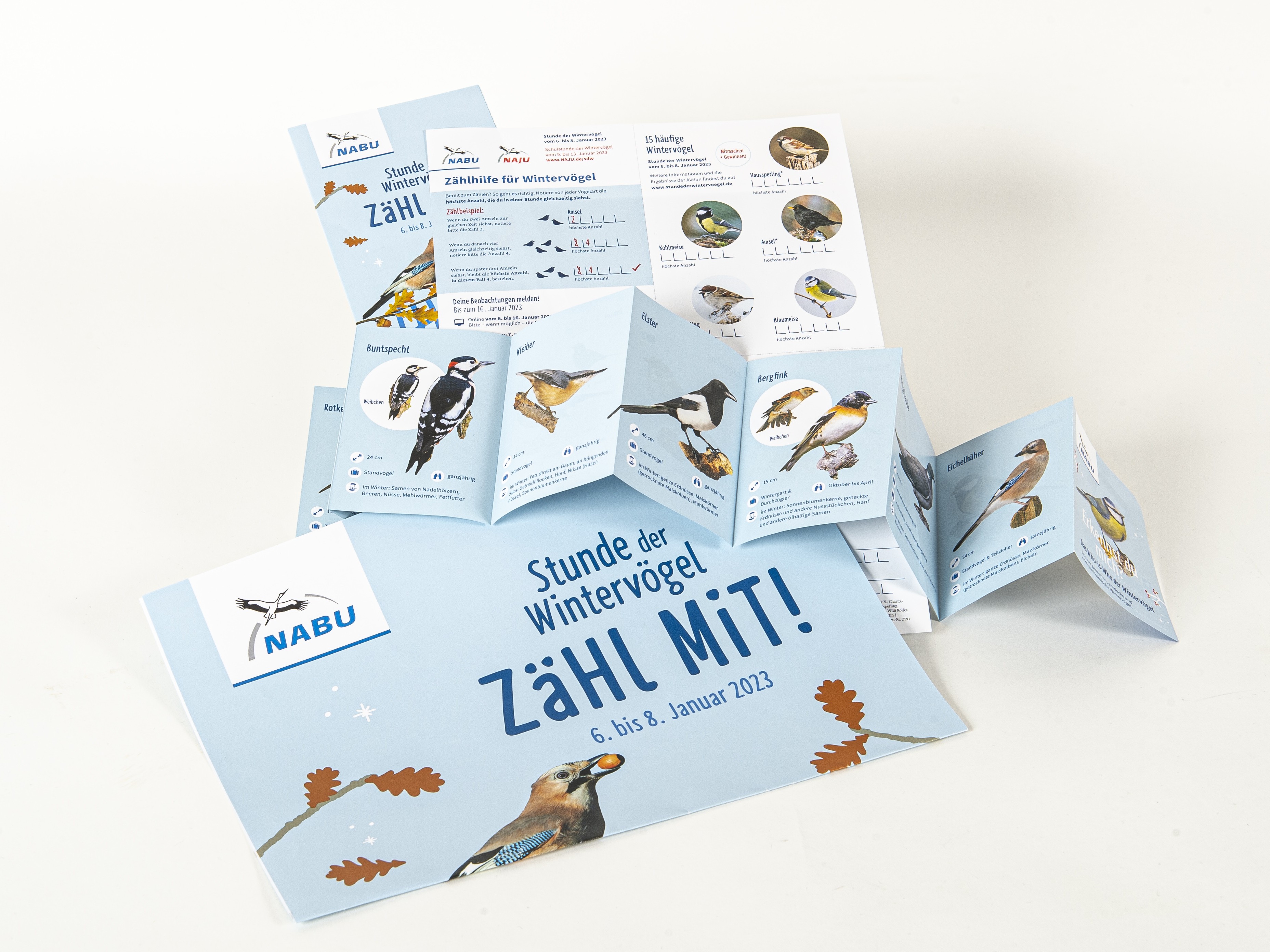 Commercial & Displays | D.O.G. GmbH | CPHI Online