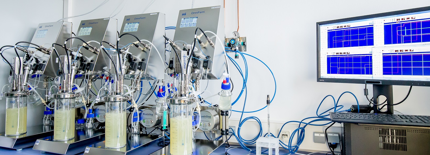 Development of chemo-enzymatic processes | Enzymicals AG | CPHI Online