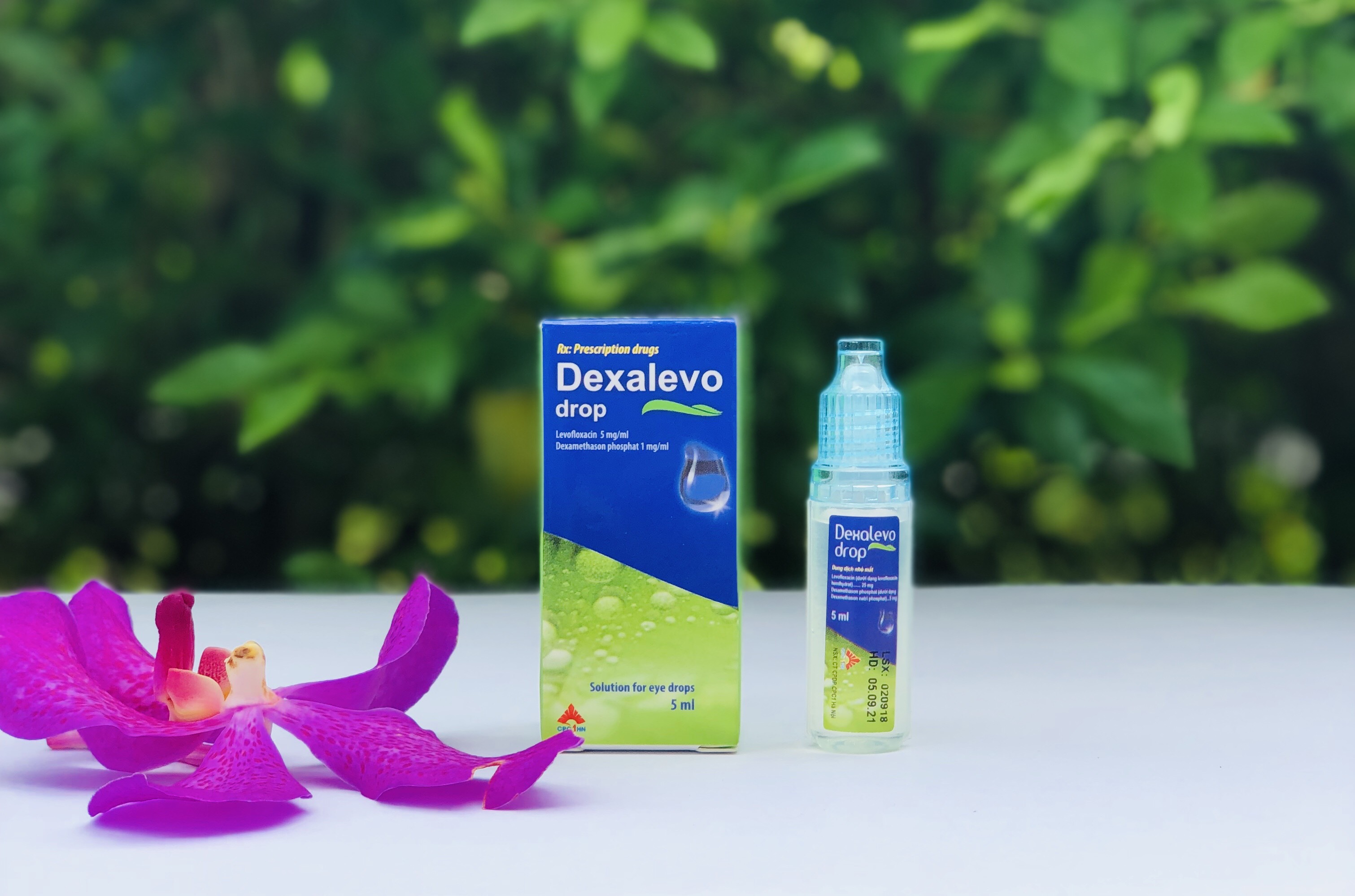 Dexalevo Drop (Dexamethasone + Levofloxacin) | CPHI Online