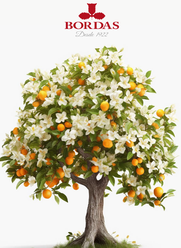 Diosmin:Hesperidin 9:1 micronized | CPHI Online