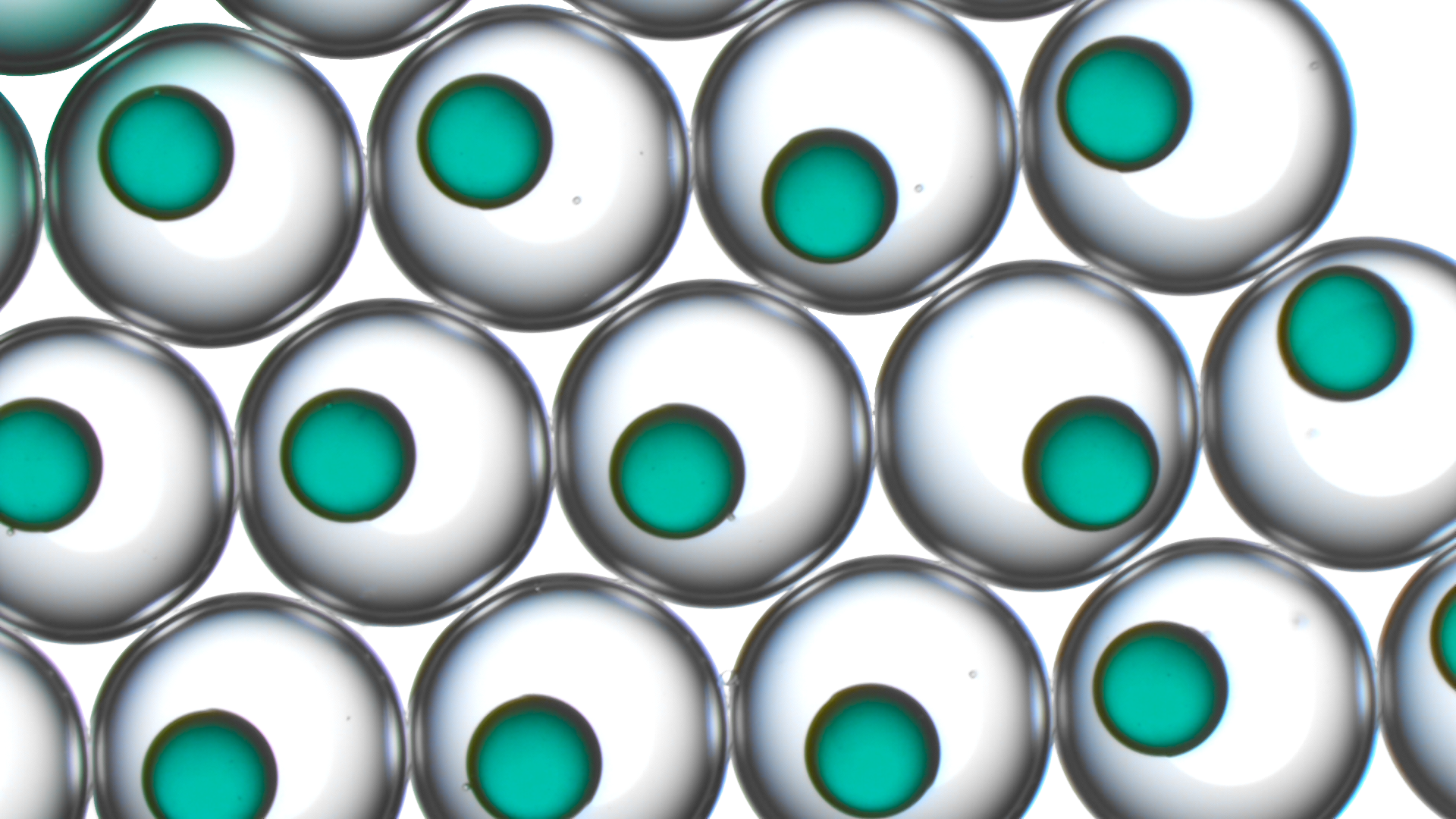 Emulsification and Encapsulation Technology | CPHI Online