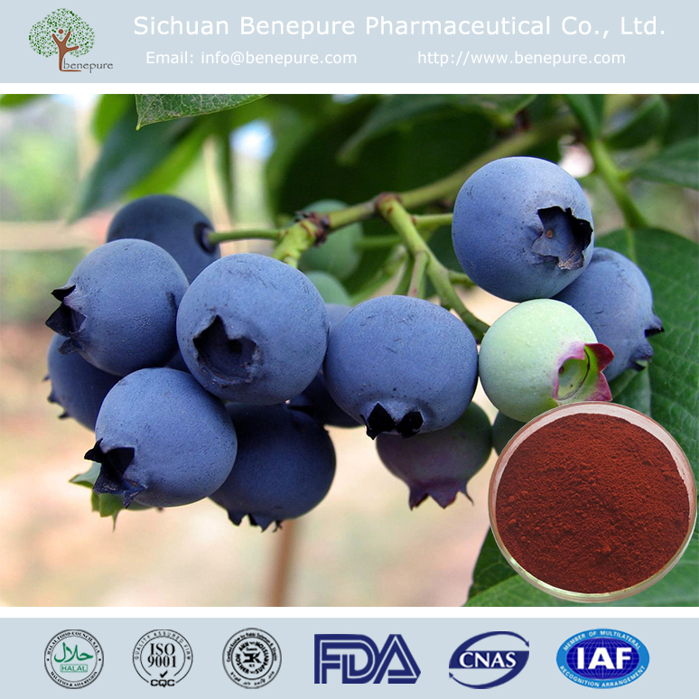 European Bilberry Extract Anthocyanins 10%-25% | CPHI Online