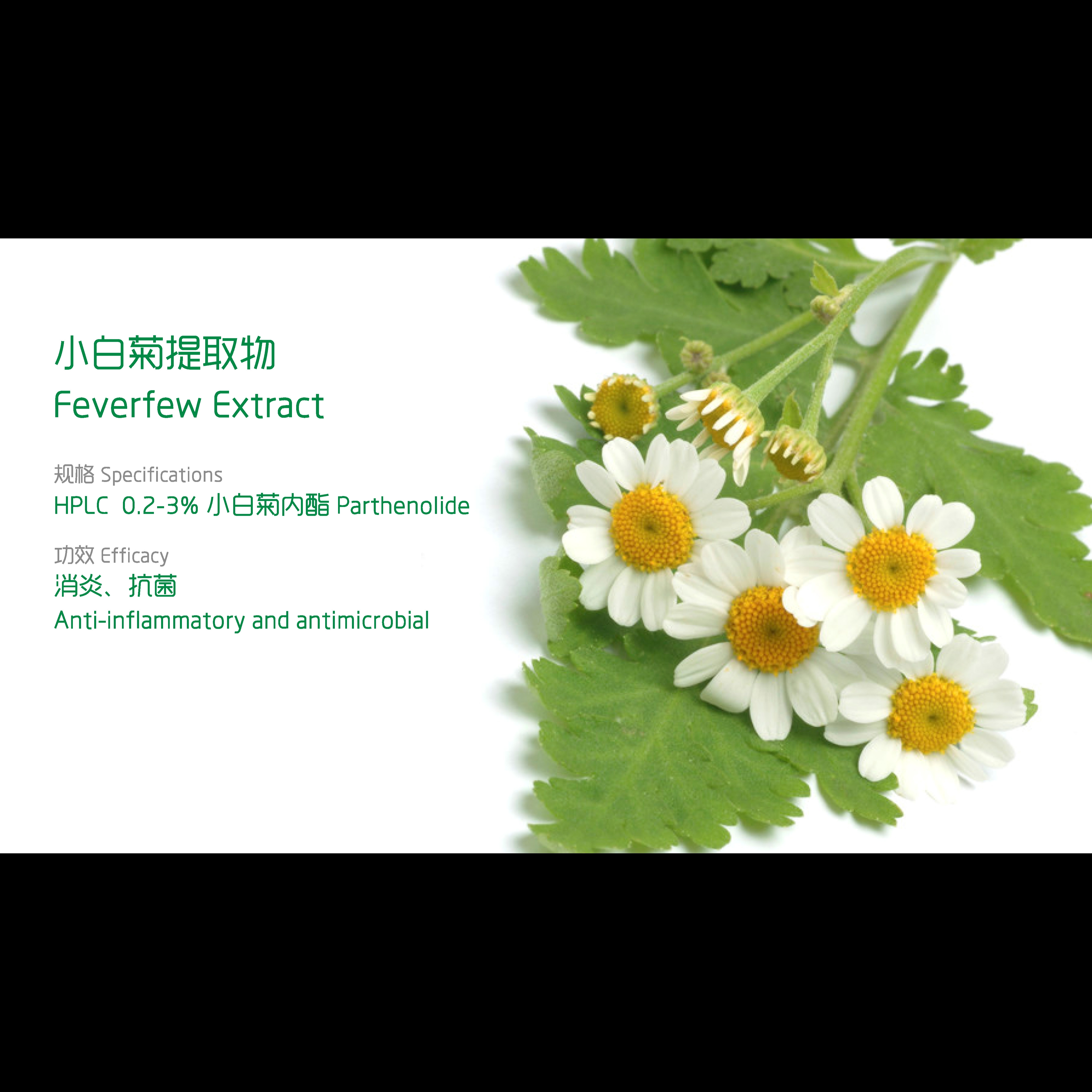 Feverfew Extract | Shaanxi Jiahe Phytochem Co Ltd | CPHI Online
