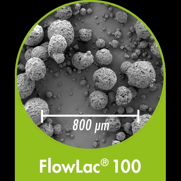 FlowLac® | MEGGLE GmbH & Co. KG | CPHI Online
