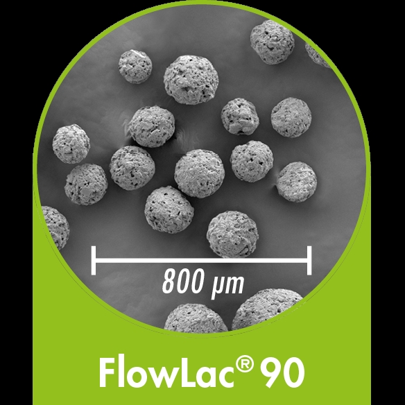 FlowLac® | MEGGLE GmbH & Co. KG | CPHI Online