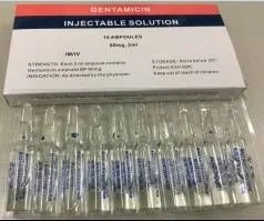Gentamicin Injection | ZHEJIANG RUIXIN PHARMACEUTICAL CO., LTD. | CPHI ...