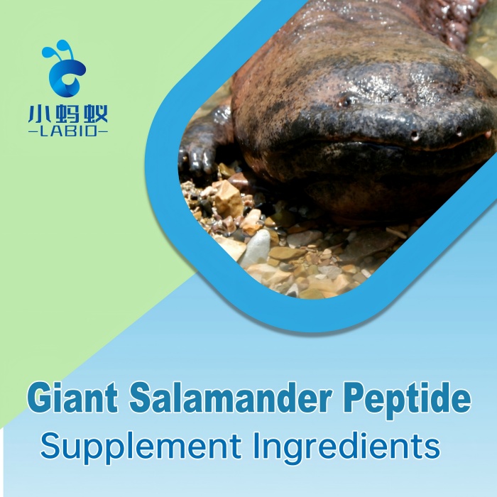 Giant Salamander Peptide | CPHI Online