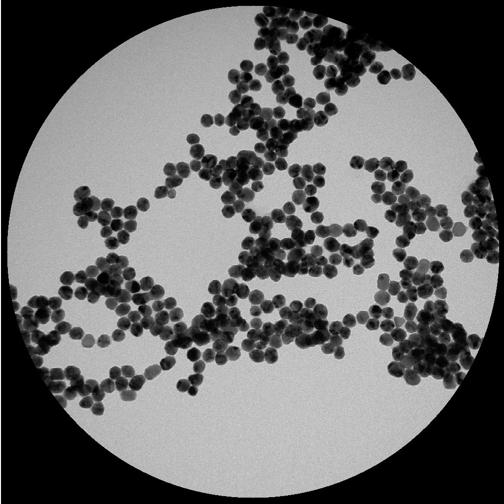 Gold nanomaterials | SONSAS | CPHI Online