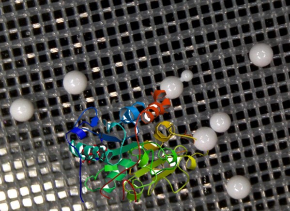 Immobilized enzymes and enzyme carriers | ChiralVision | CPHI Online