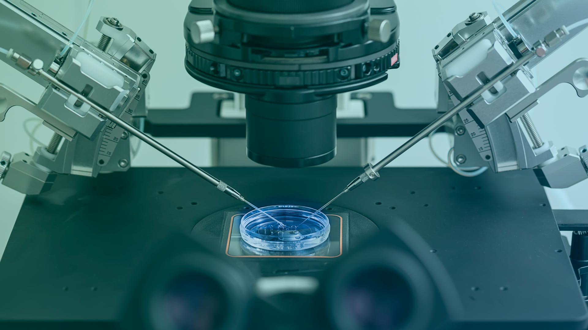 In-Vitro Fertilisation Automation | PerdigÃ³ Medical, S.L. | CPHI Online