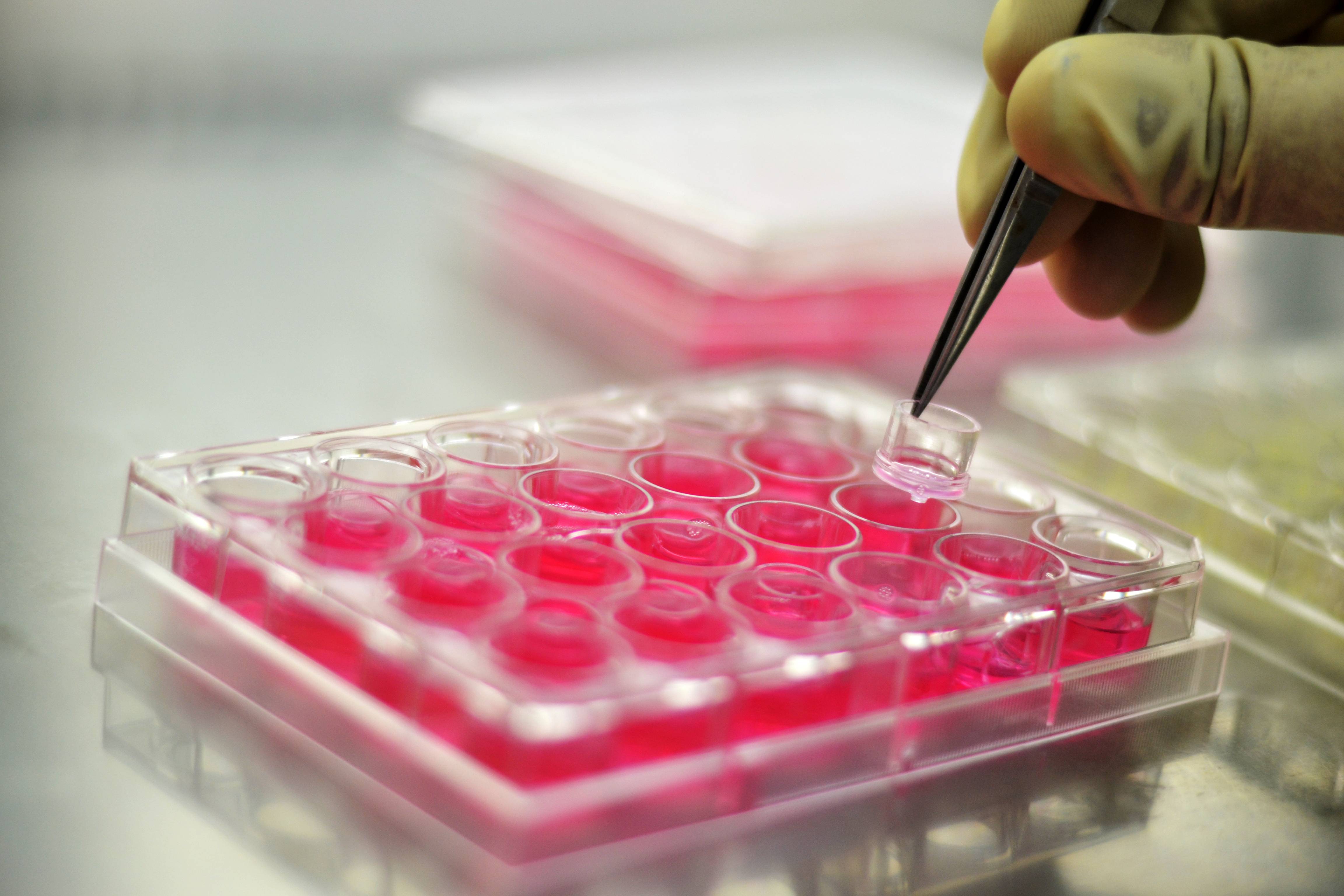 Large Molecule Discovery & Development Services | CPHI Online