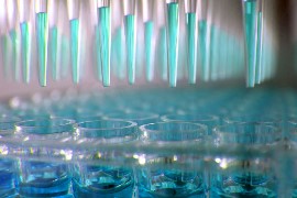 Ligand-binding Assays | Intertek Pharmaceutical Services | CPHI Online