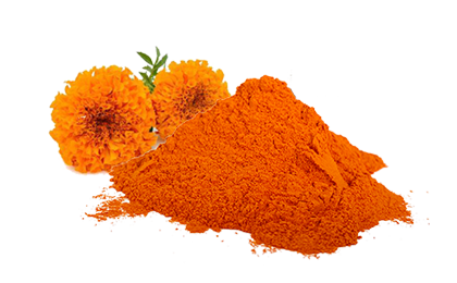 Marigold Flower Extract | Ampac Fine Chemicals | CPHI Online