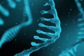 mRNA Characterisation and Analysis | CPHI Online