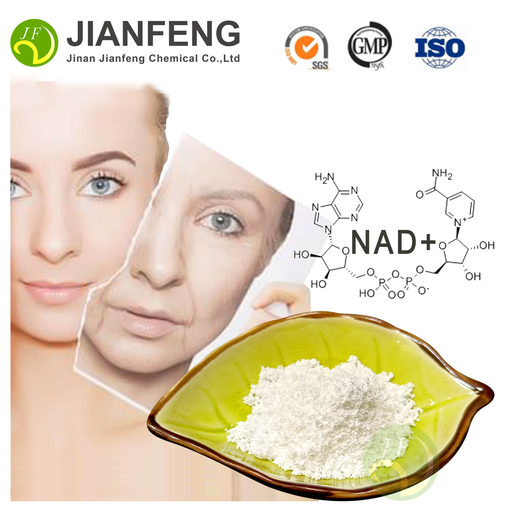Nicotinamide Mononucleotide | Jinan Jianfeng Chemical Co., Ltd. | CPHI ...
