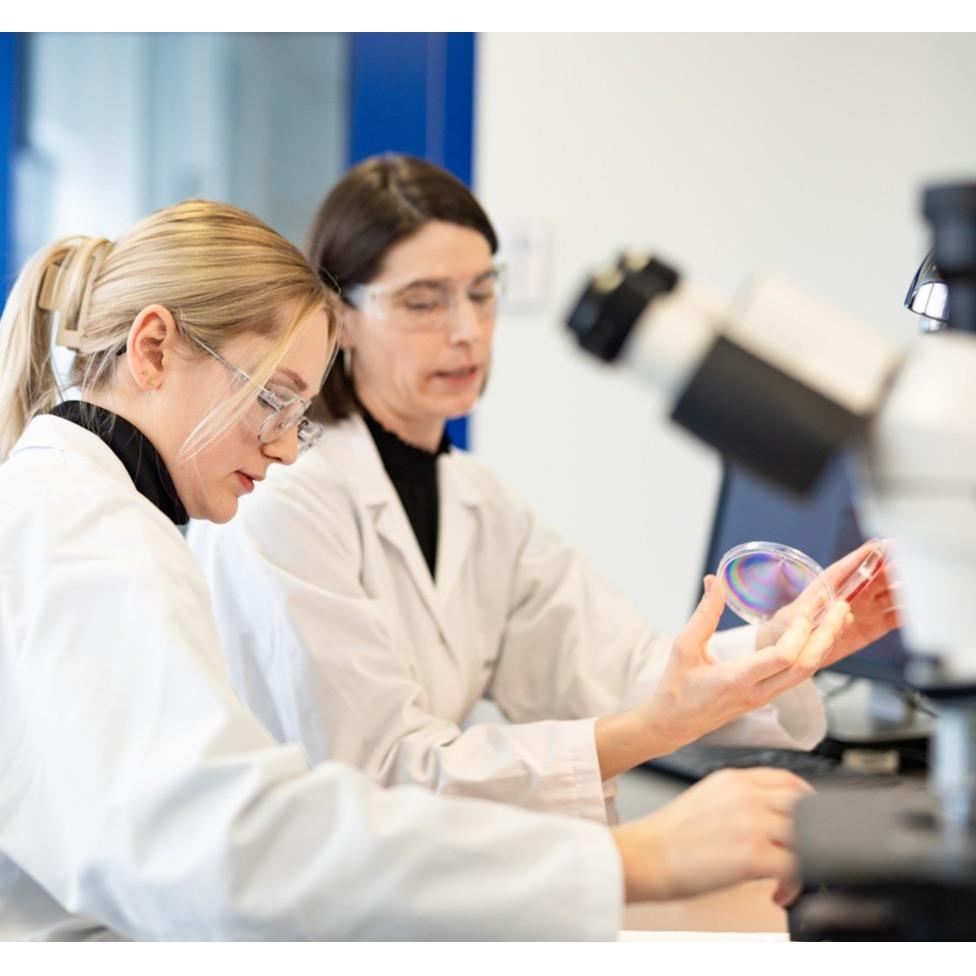 Non-sterile Product Testing | Labor LS SE & Co. KG | CPHI Online