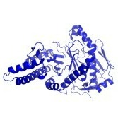 Novel Hyaluronidase (ALT-B4) Hybrozyme™ | Alteogen | CPHI Online