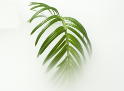 Anatomical Therapeutic Chemical (ATC) Classification Products... | CPHI Online