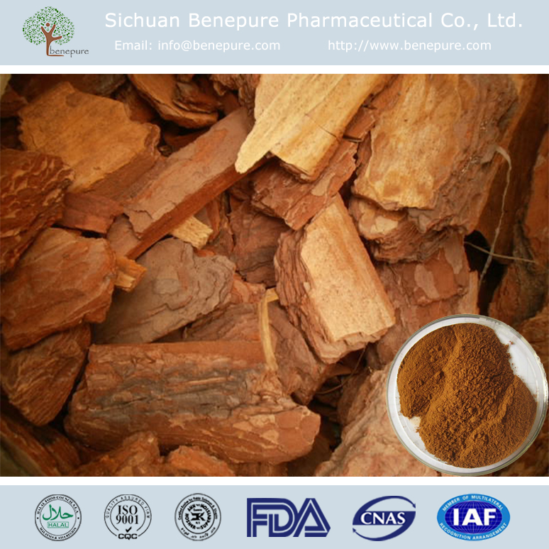Pine Bark Extract Powder Anthocyanins 95% | CPHI Online