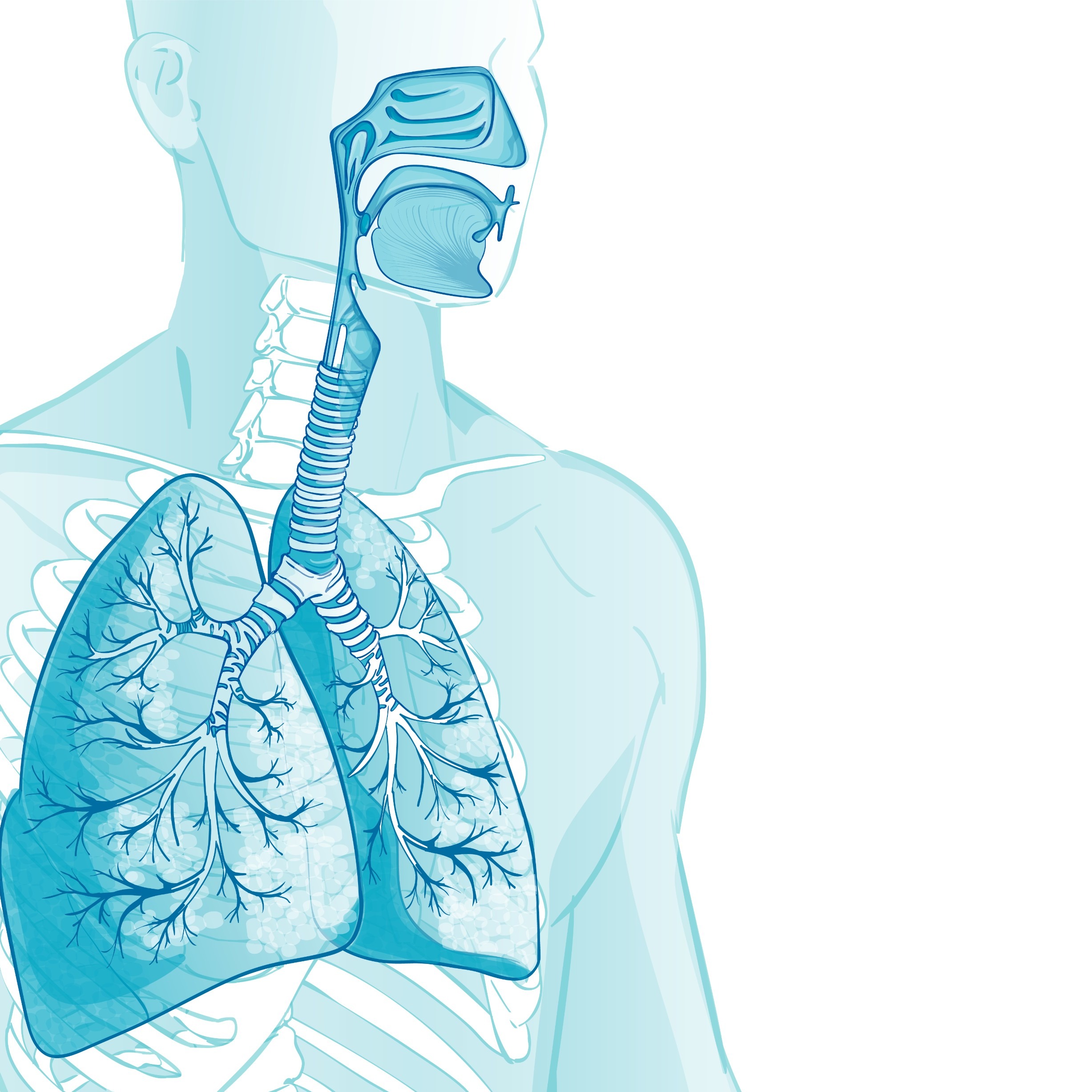 Pulmonary and Nasal | Catalent Pharma Solutions | CPHI Online