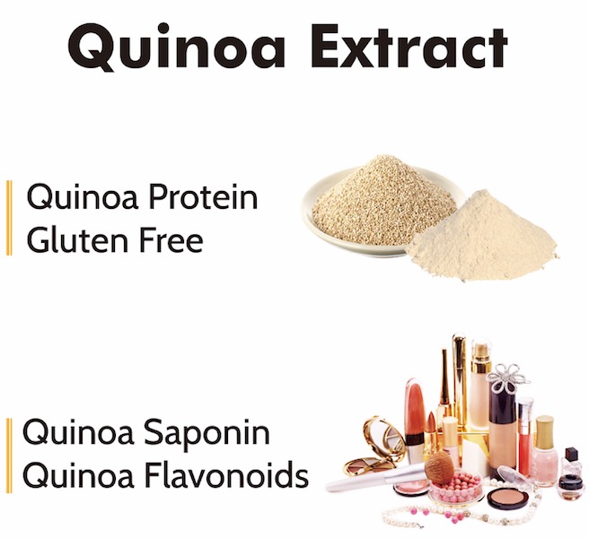 Quinoa Powder | Nutranovo Bio-Technology Co., Ltd. | CPHI Online