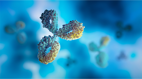 Rabbit Monoclonal Antibody Discovery Service | FUJIFILM | CPHI Online