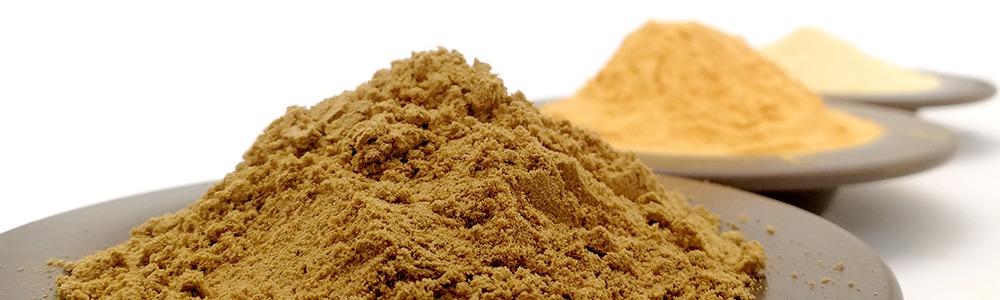 Redgine - Red Skin Ginger Extract | Bintang Toedjoe,PT | CPHI Online