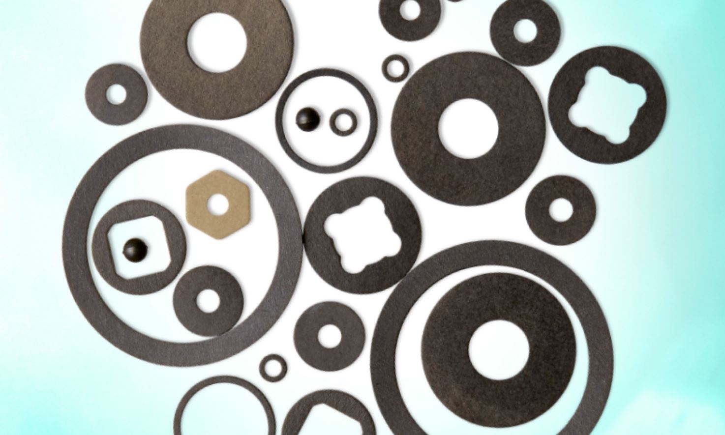 Rubber Punched Gaskets And Punched Plastic Gaskets | CPHI Online