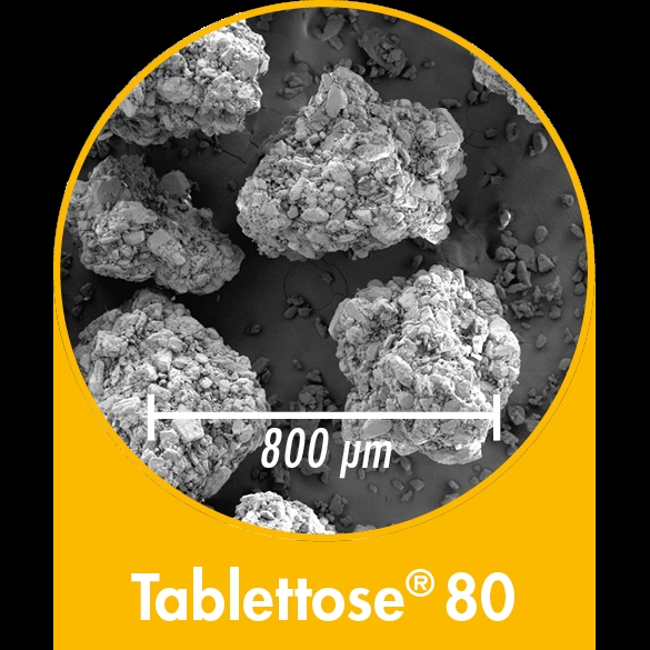 Tablettose® | MEGGLE GmbH & Co. KG | CPHI Online